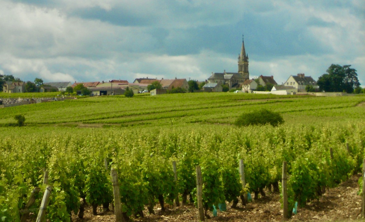 Pouilly-Fuissé & Pouilly-Fumé: What a Mouthful! – Michel Thibault Wine